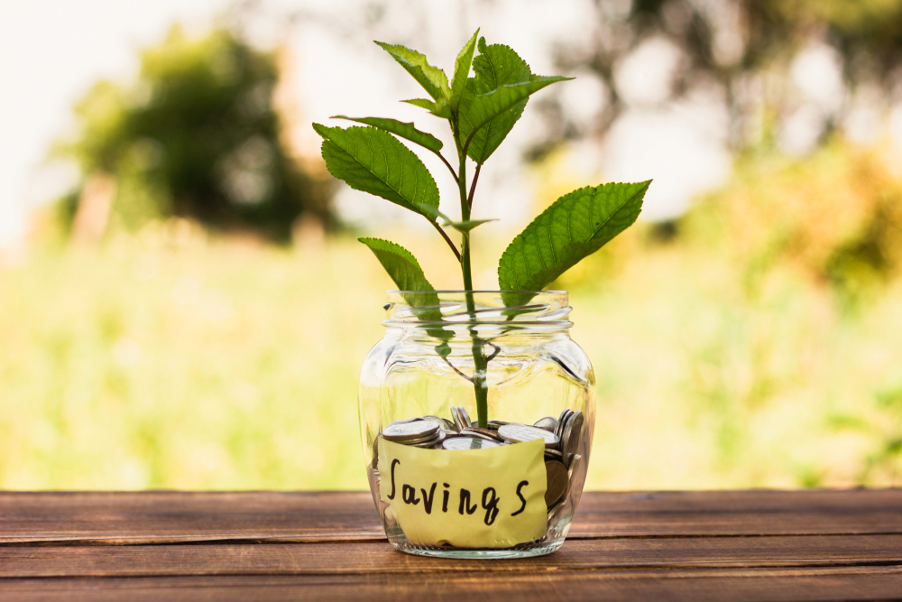 ESG Investing: Grow Your Wealth and Make a Difference
